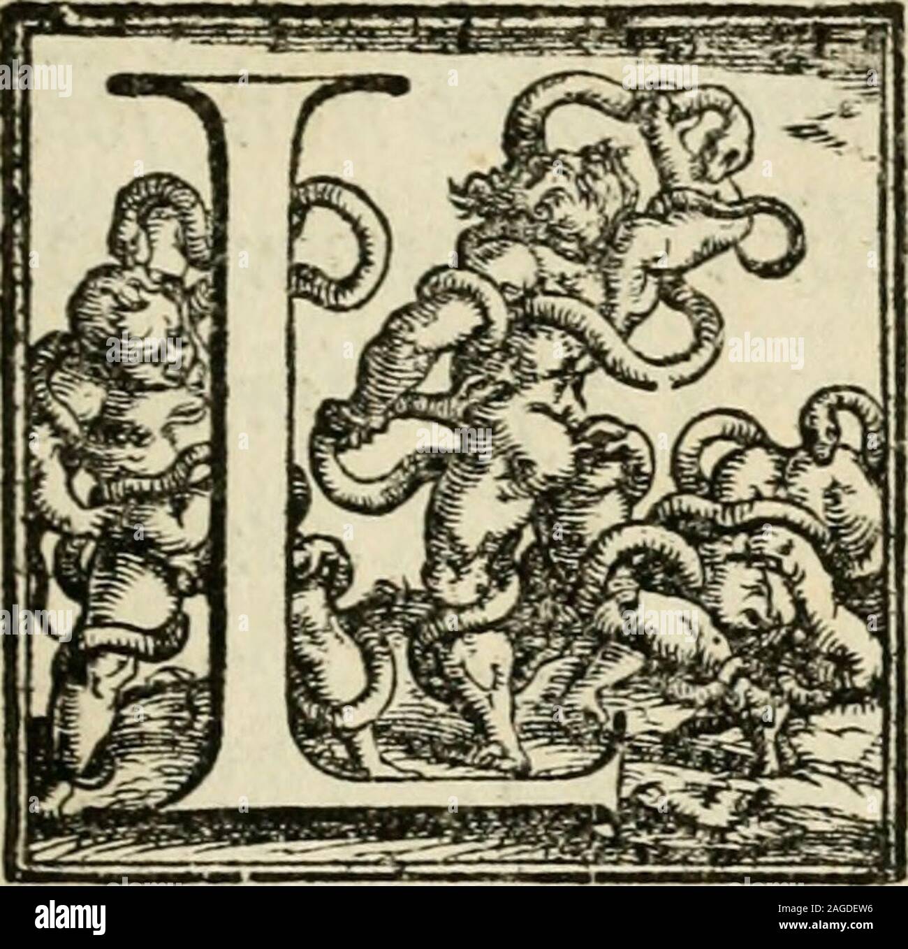 Difenda hi-res stock photography and images - Alamy