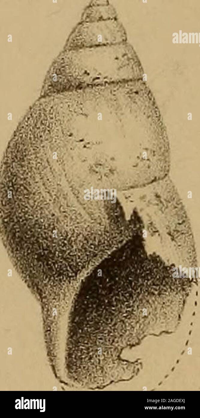 197 6 g hi-res stock photography and images - Alamy