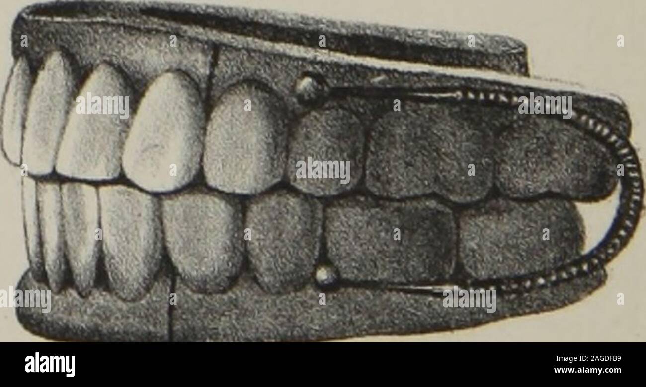 . The anatomy, physiology and pathology of the human teeth : with the ...