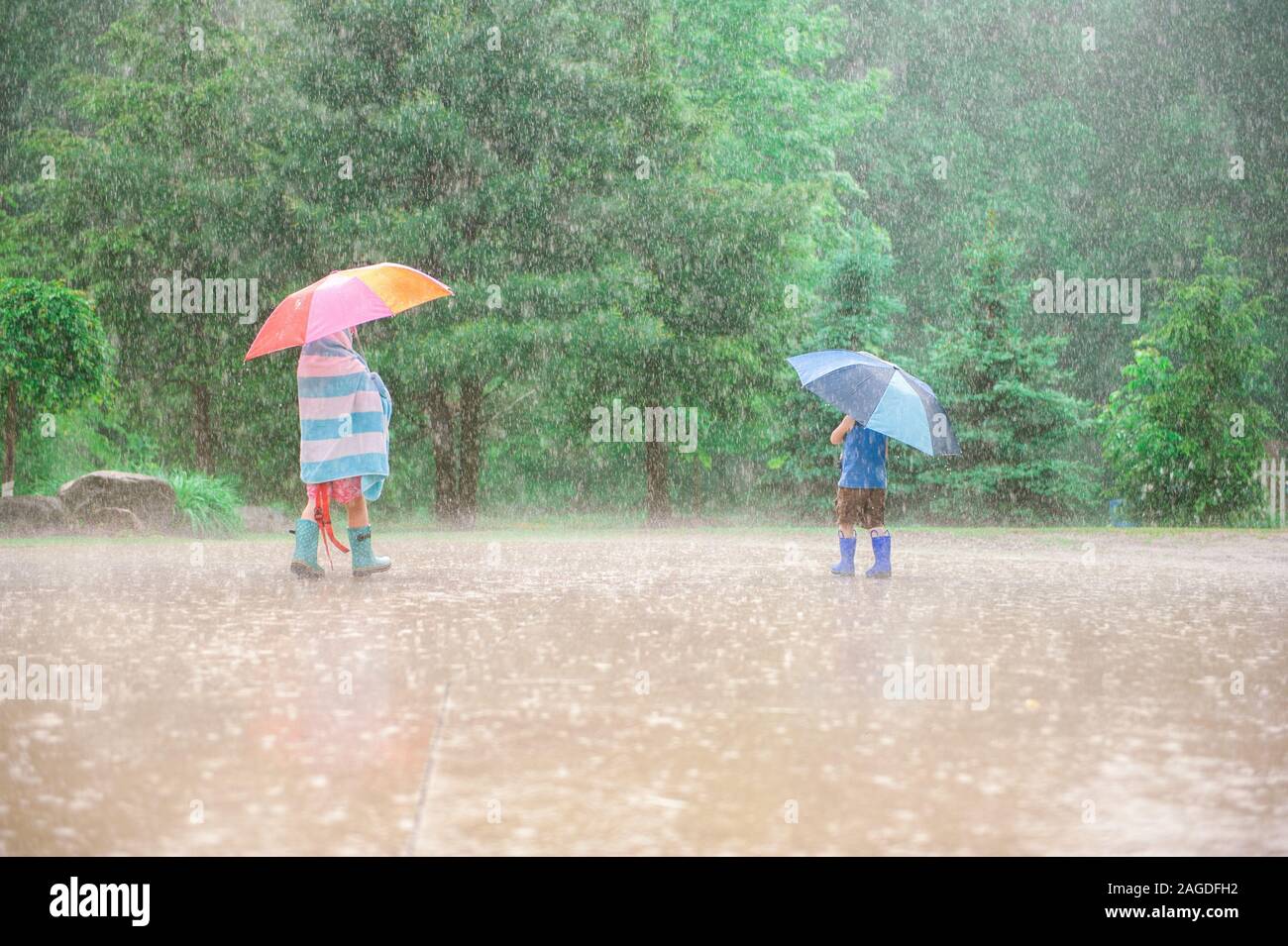 Two little kids with umbrellas and in rubber boots playing outside ...