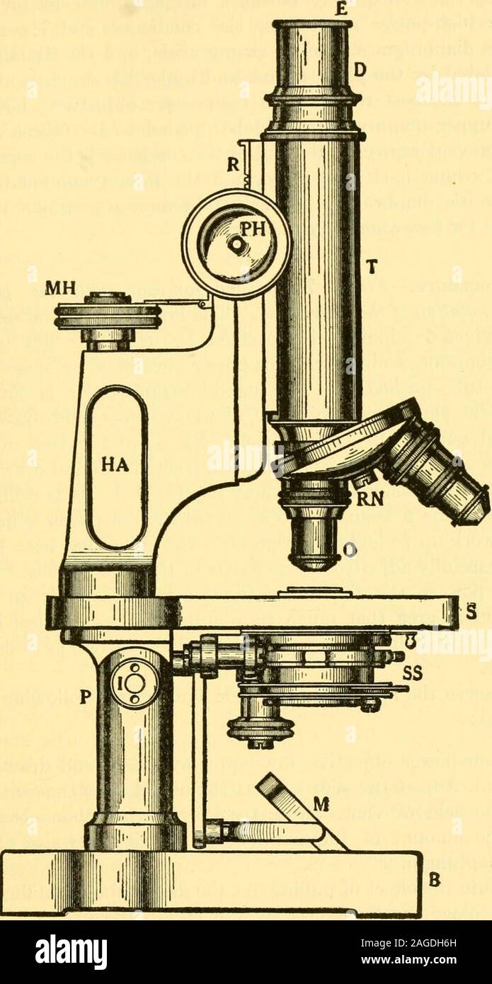 Reflected light microscope hi-res stock photography and images - Alamy