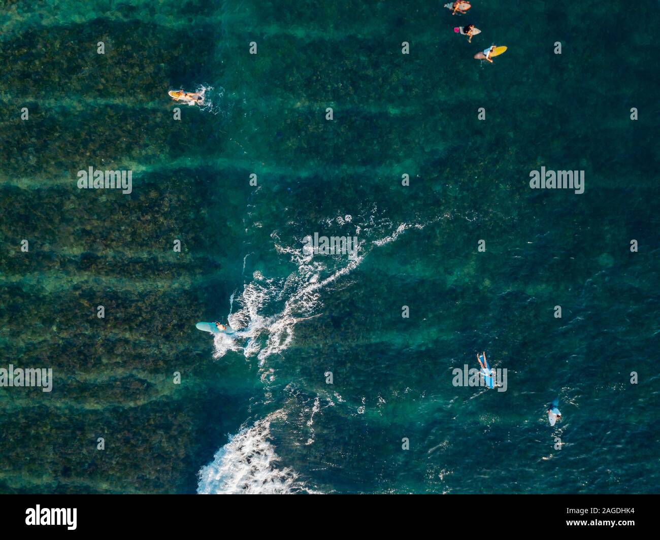 Aerial view of surfers in the ocean Stock Photo - Alamy