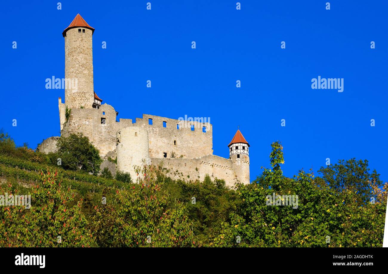Low angle view of the Hornberg Castle surrounded by greenery under a ...