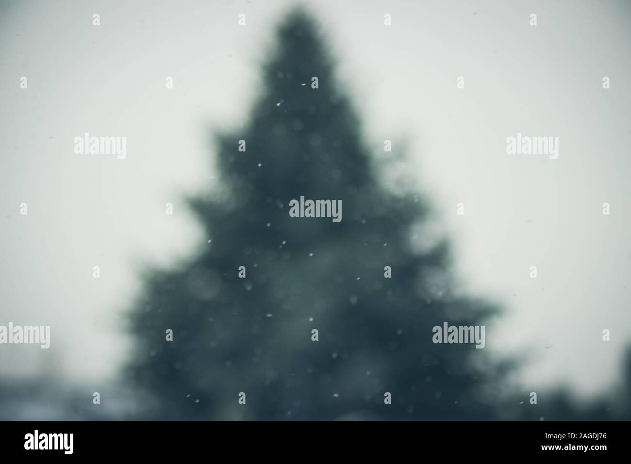 Beautiful scenery of falling snow in focus and a pine tree in a blur in ...