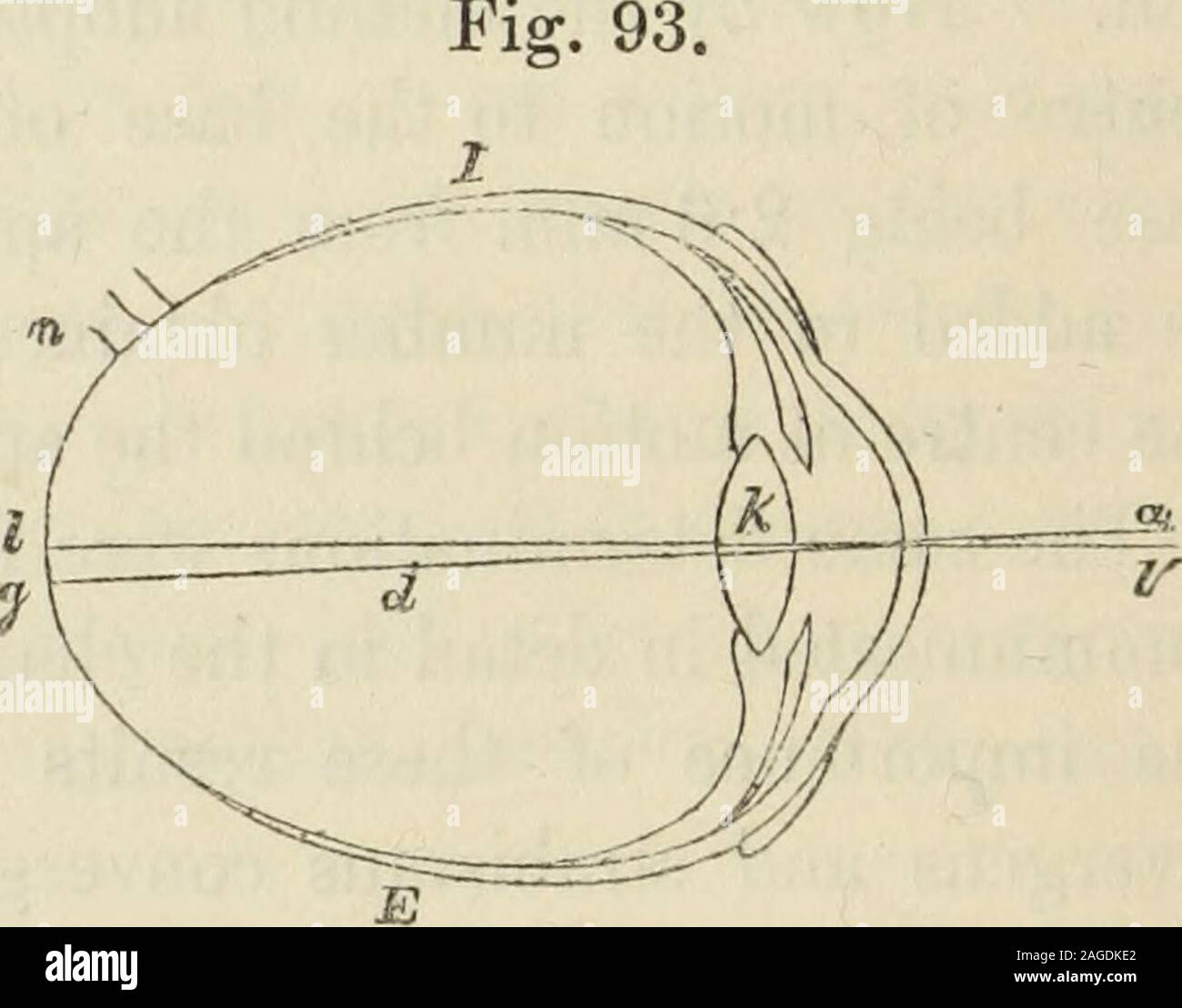 . On the anomalies of accommodation and refraction of the eye, witha ...