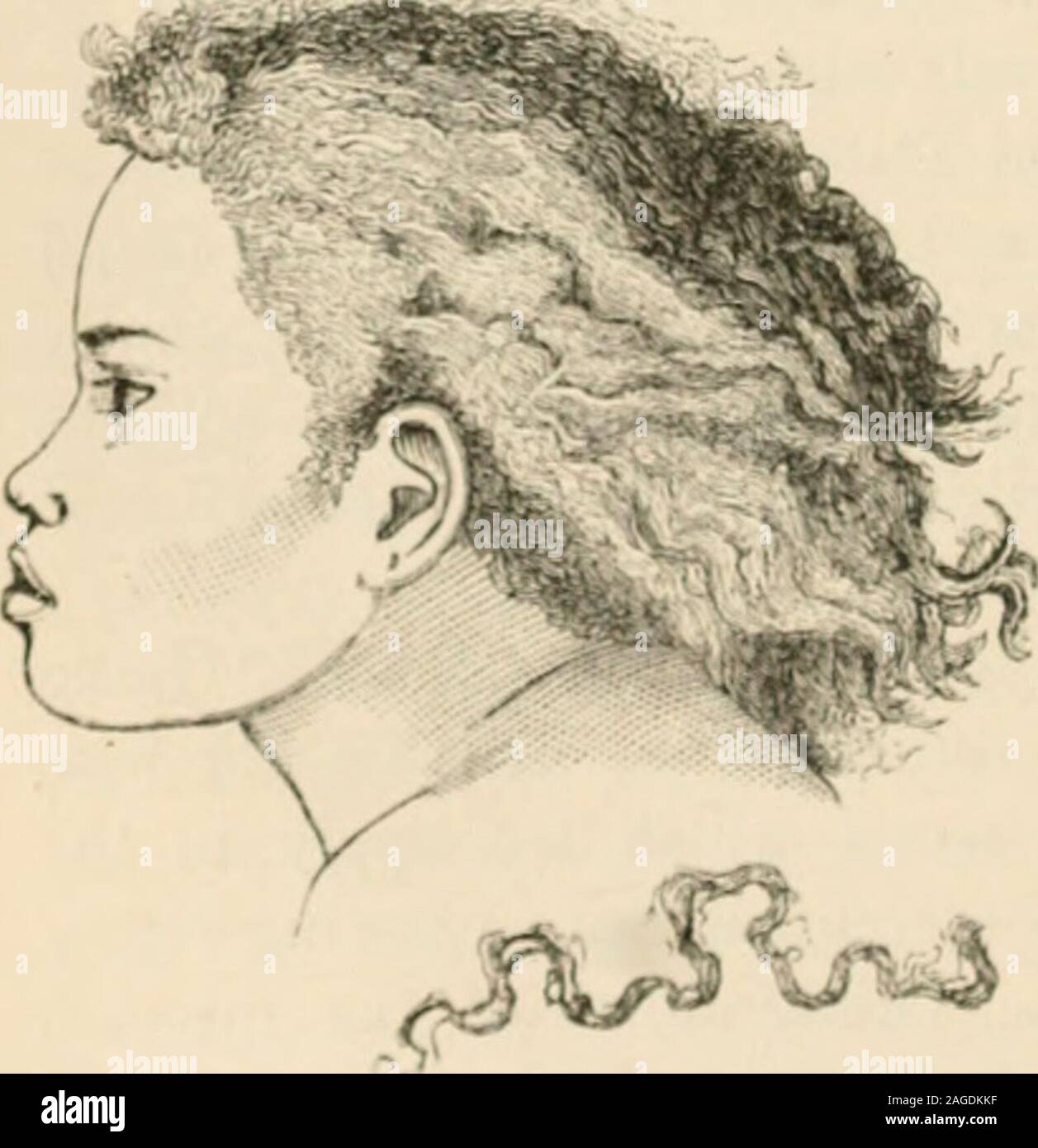 Thither hi-res stock photography and images - Alamy