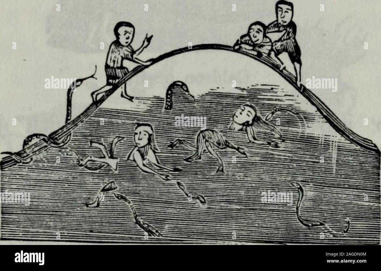 Meaning Butcher High Resolution Stock Photography and Images - Alamy