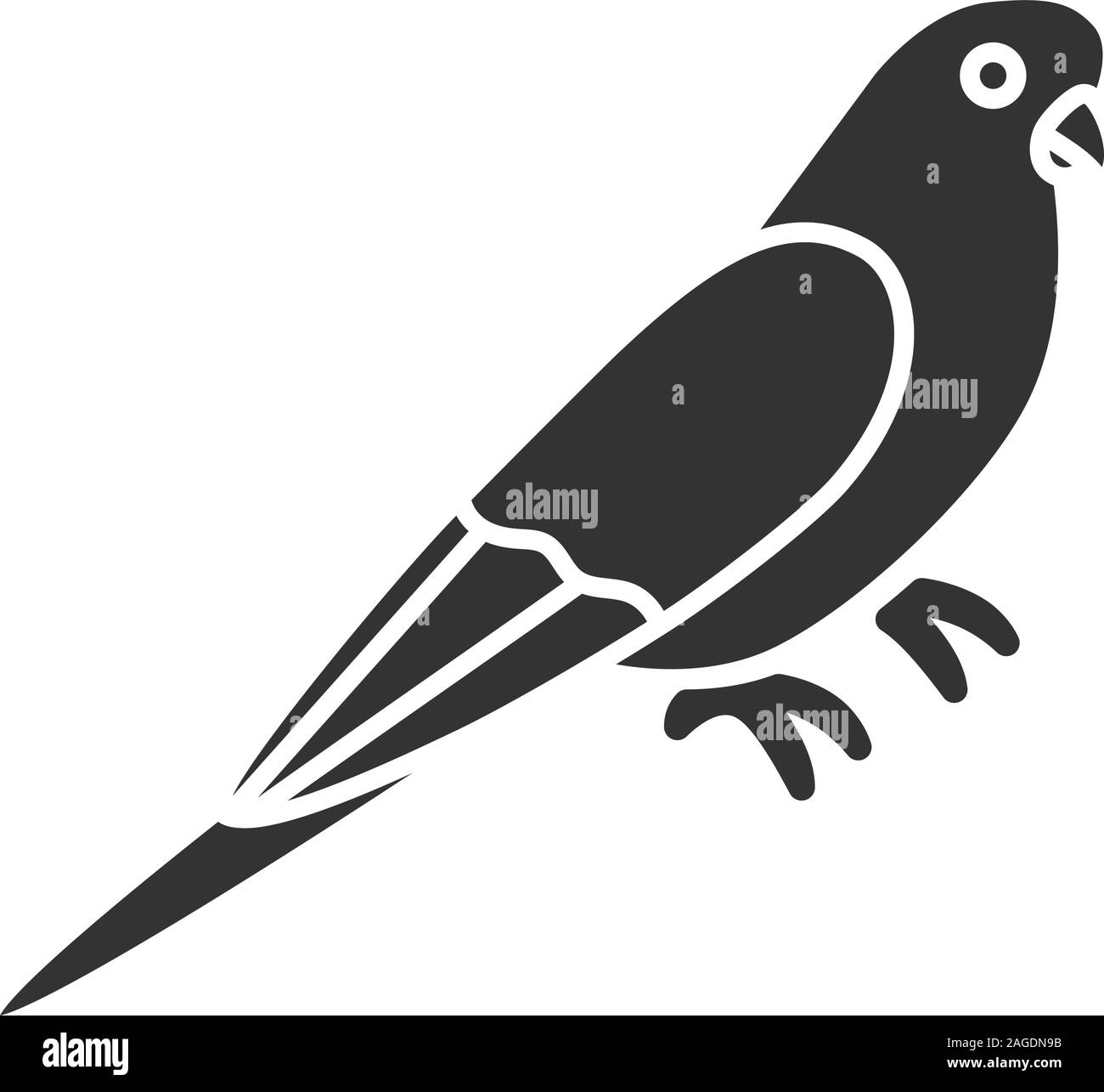 Budgerigar glyph icon. Common parakeet. Parrot. Silhouette symbol ...