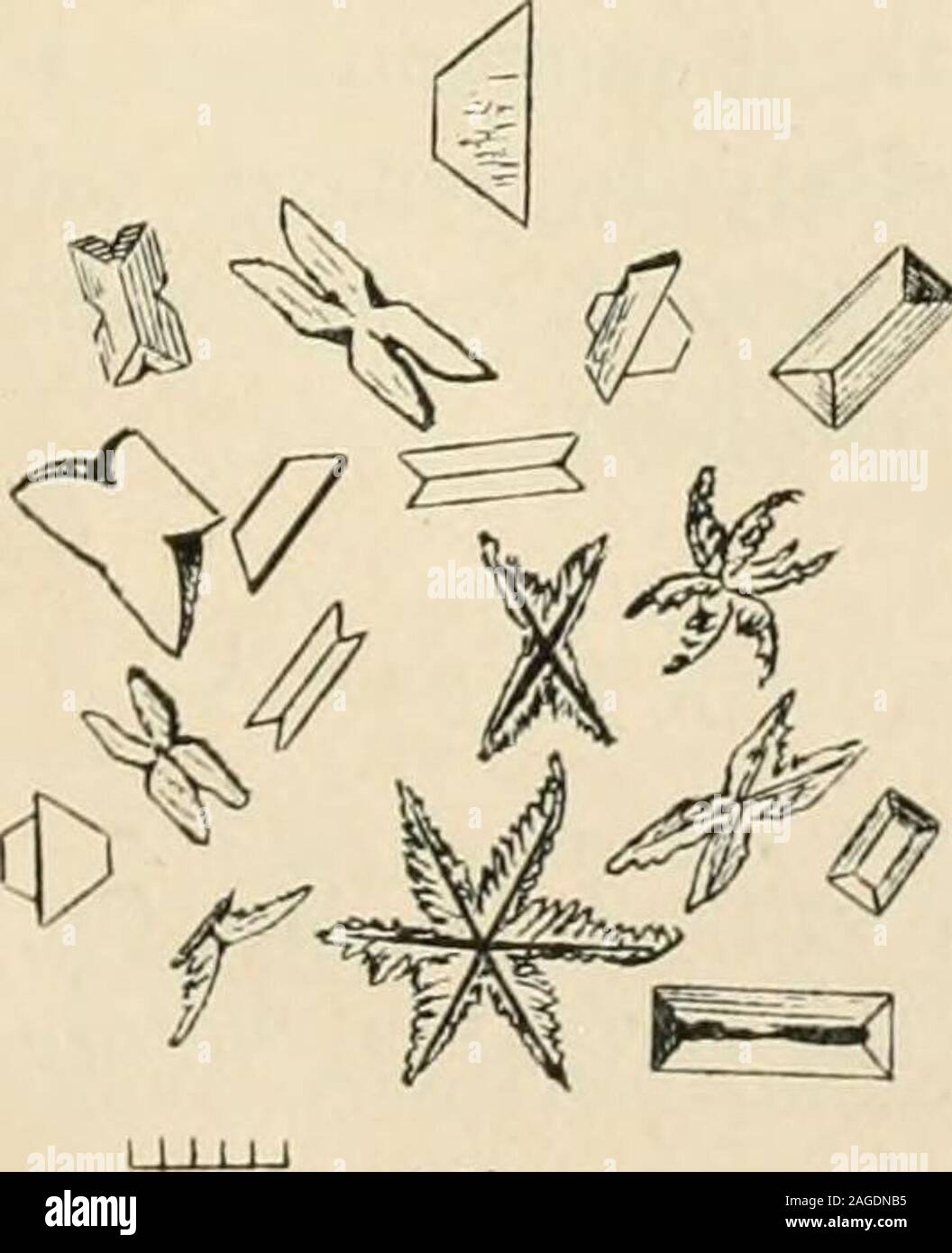 . Journal of applied microscopy and laboratory methods. lute ammonium ...