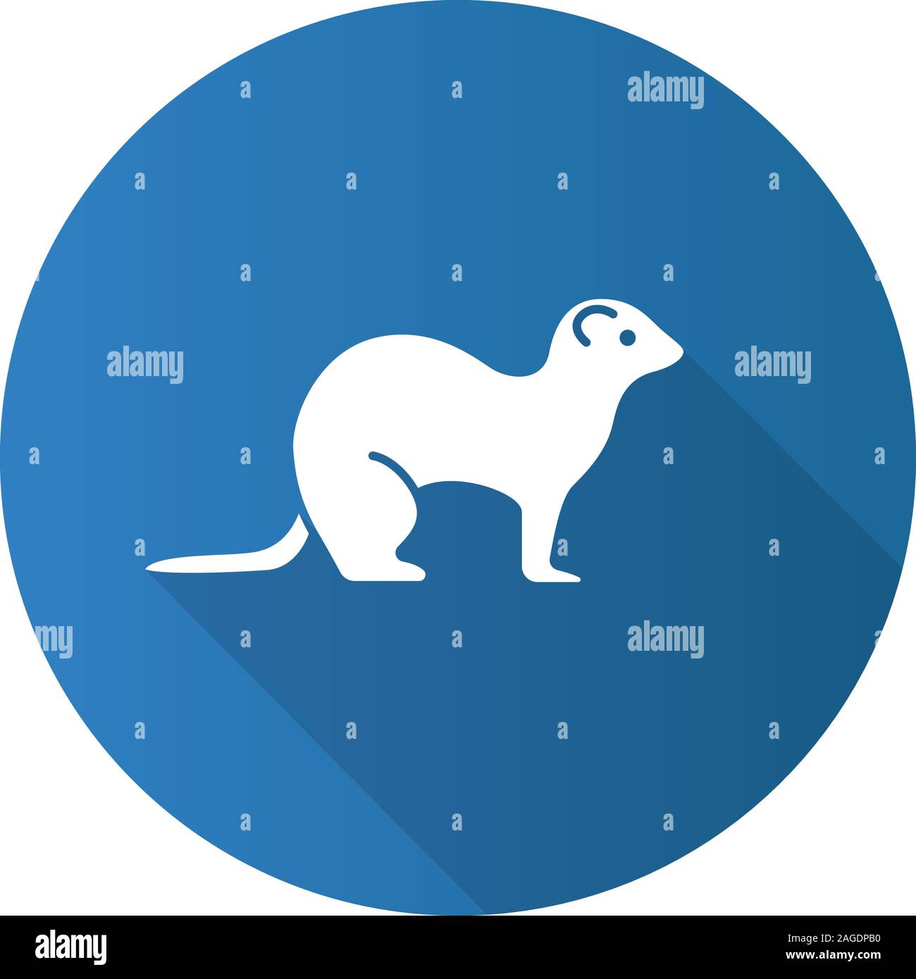 Long tail weasel hi-res stock photography and images - Alamy