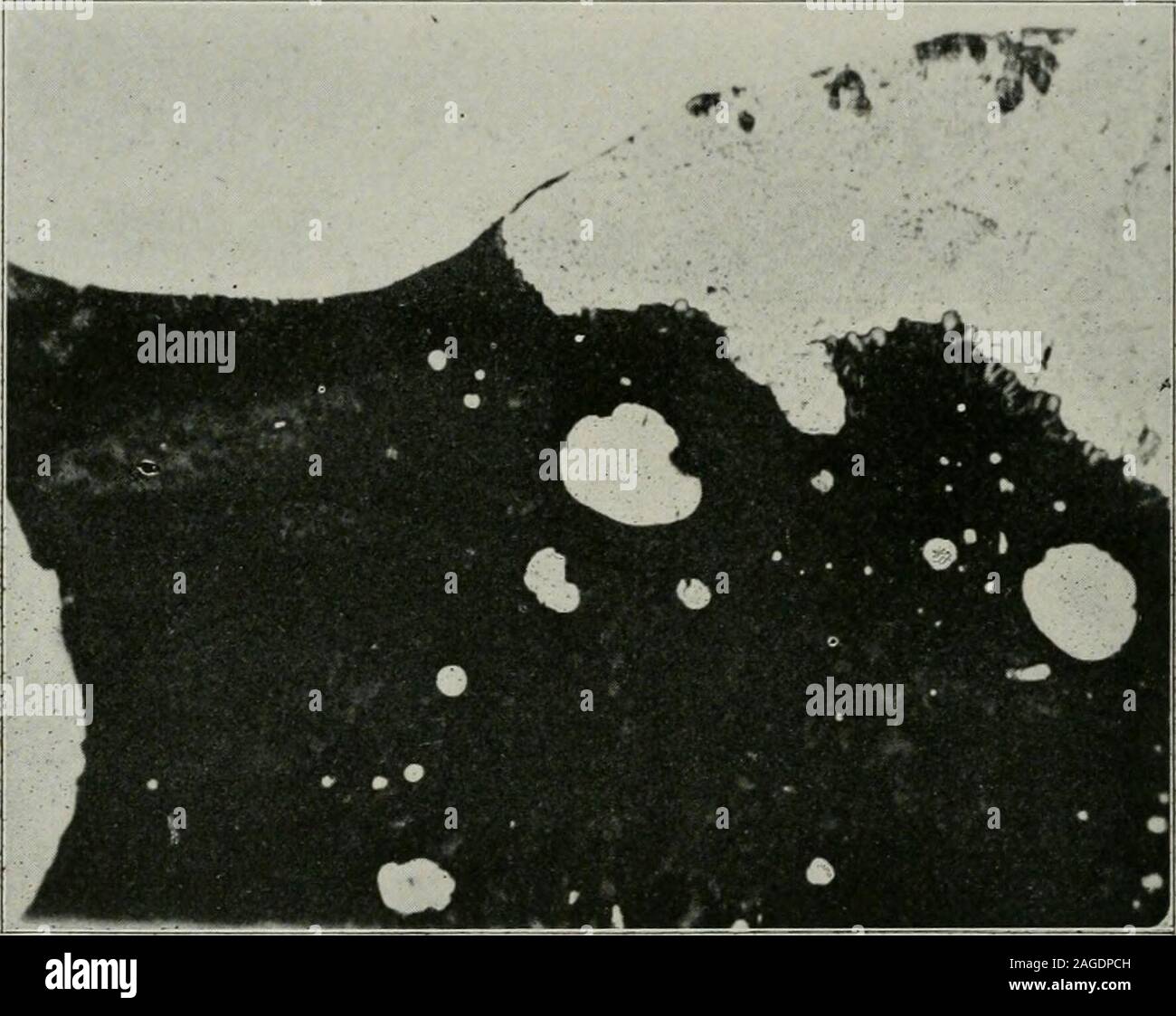 . Transactions. Fig. 18.—Silicate inclusions and .streaks along ...