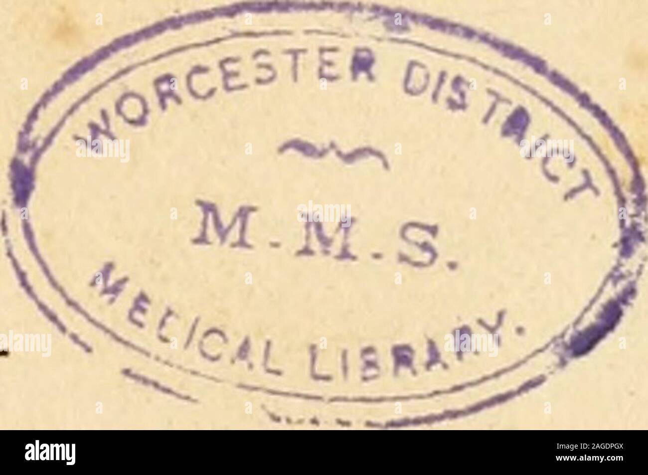 Louis cha hi-res stock photography and images - Alamy