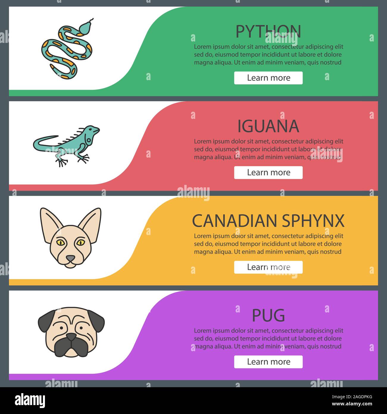 Pets web banner templates set. Python, iguana, Canadian Sphynx, pug ...