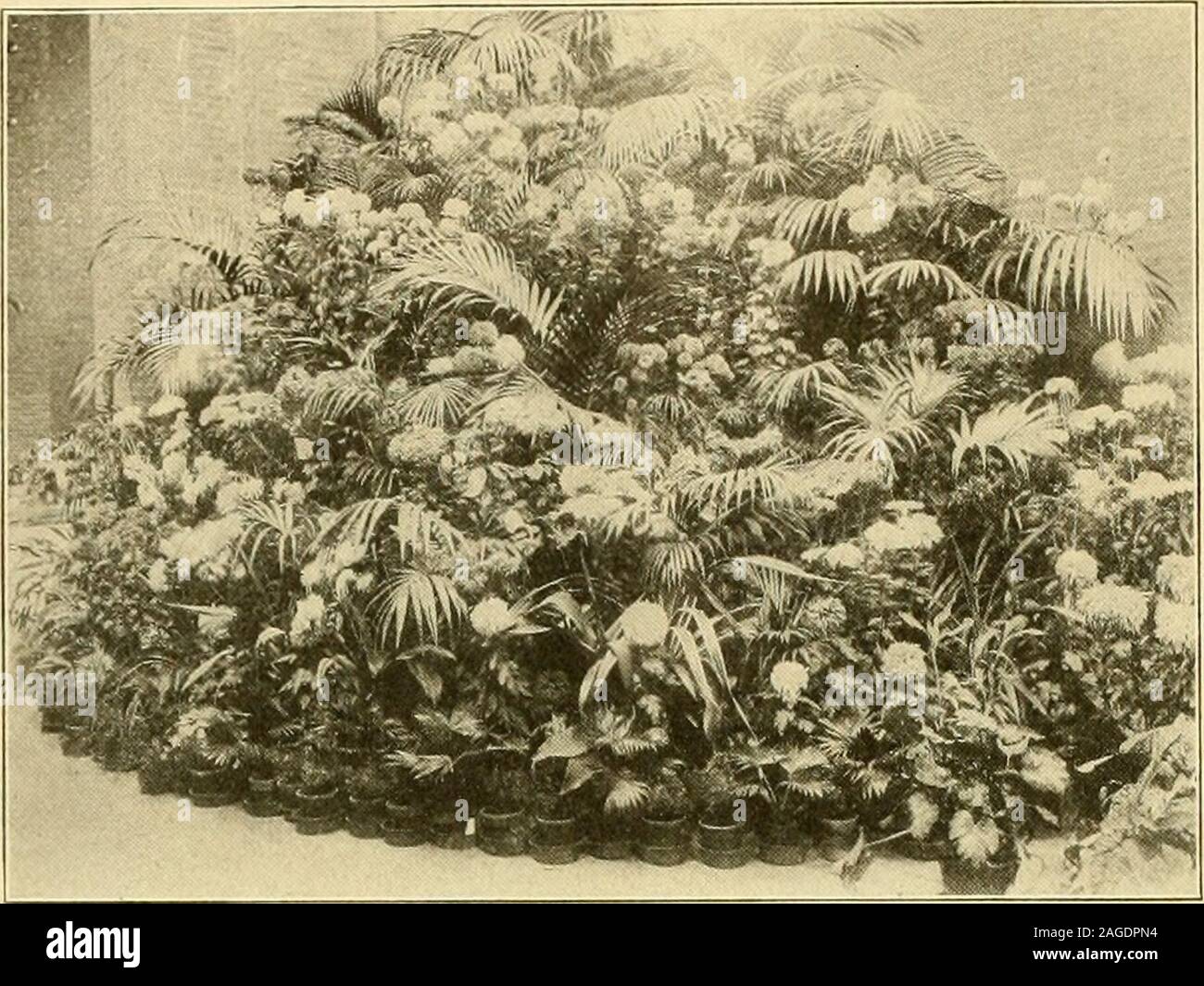 Ter lorraine hi-res stock photography and images - Alamy