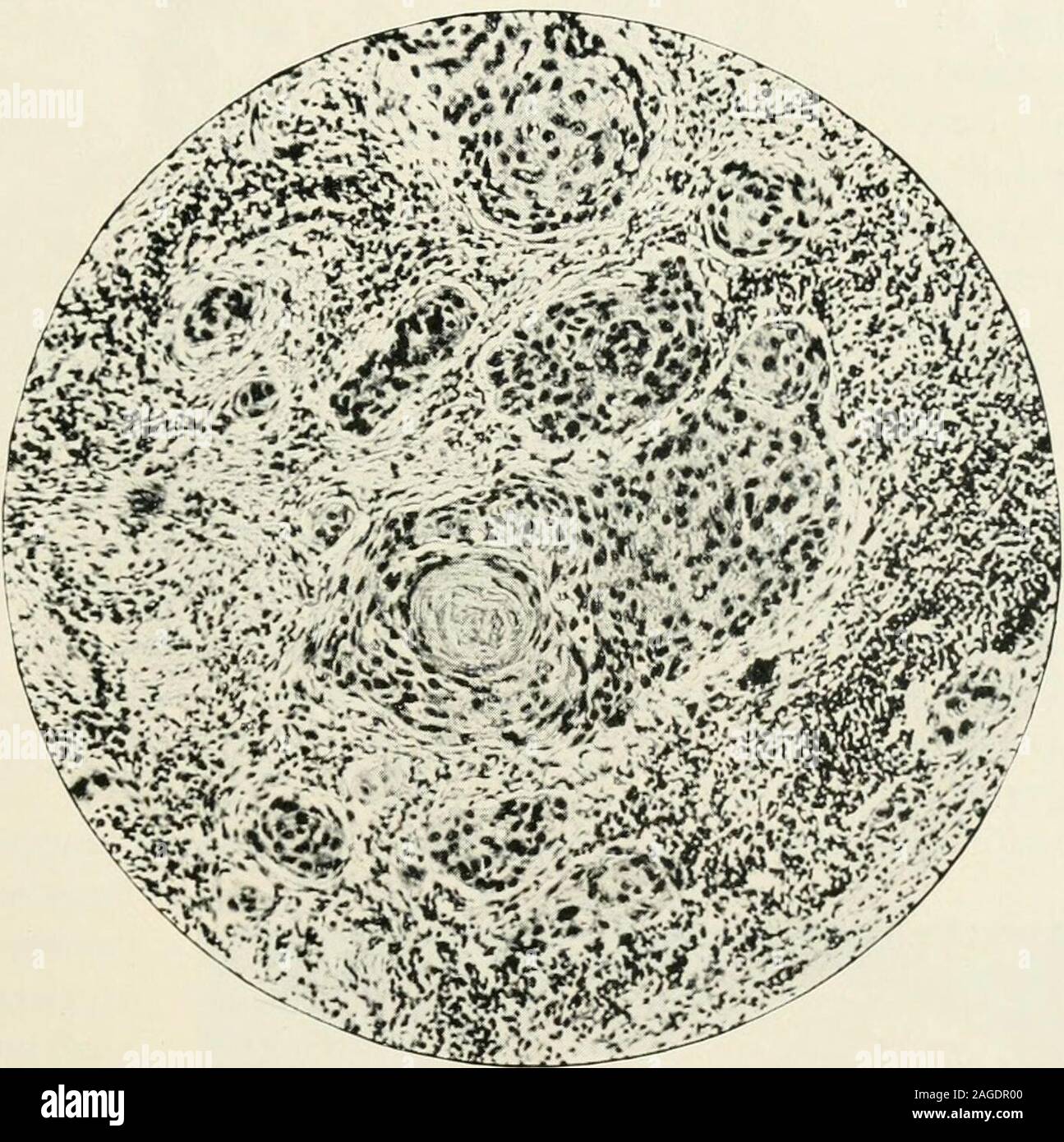 Microscope in front of cell hi-res stock photography and images - Alamy