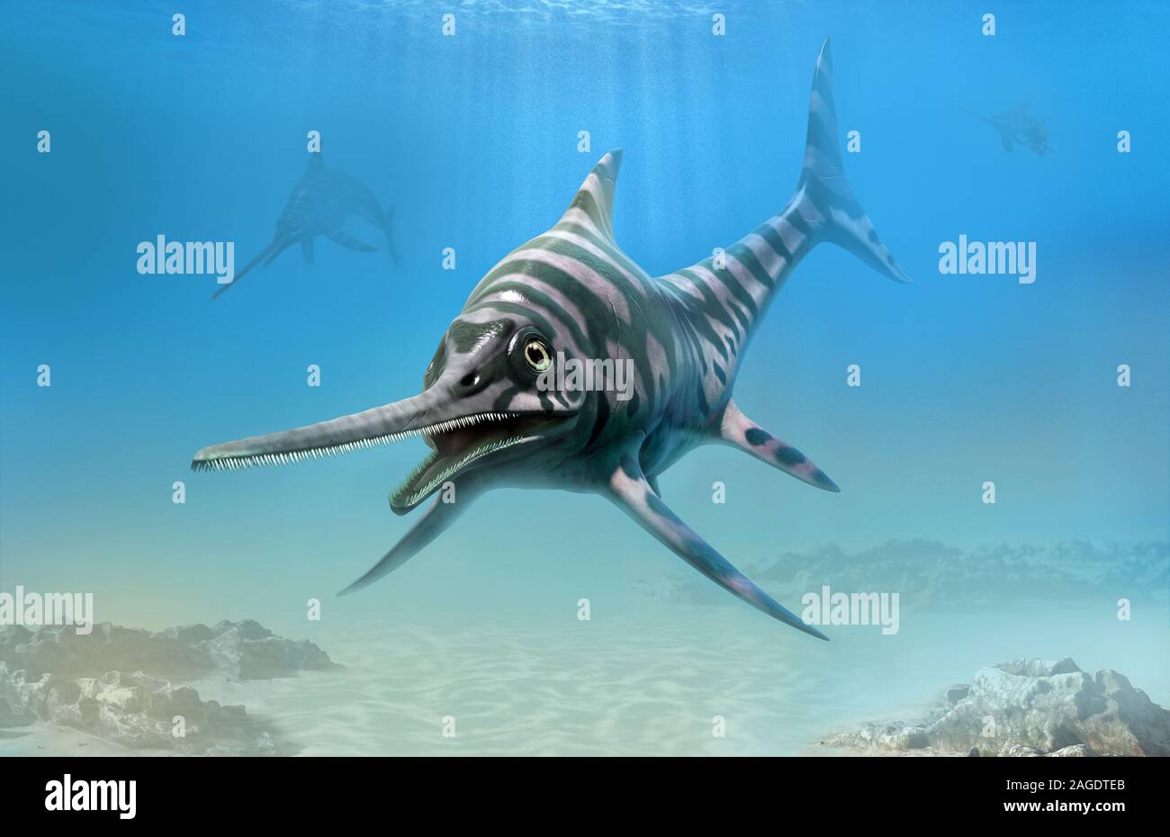 Eurhinosaurus from the Jurassic era 3D illustration Stock Photo - Alamy
