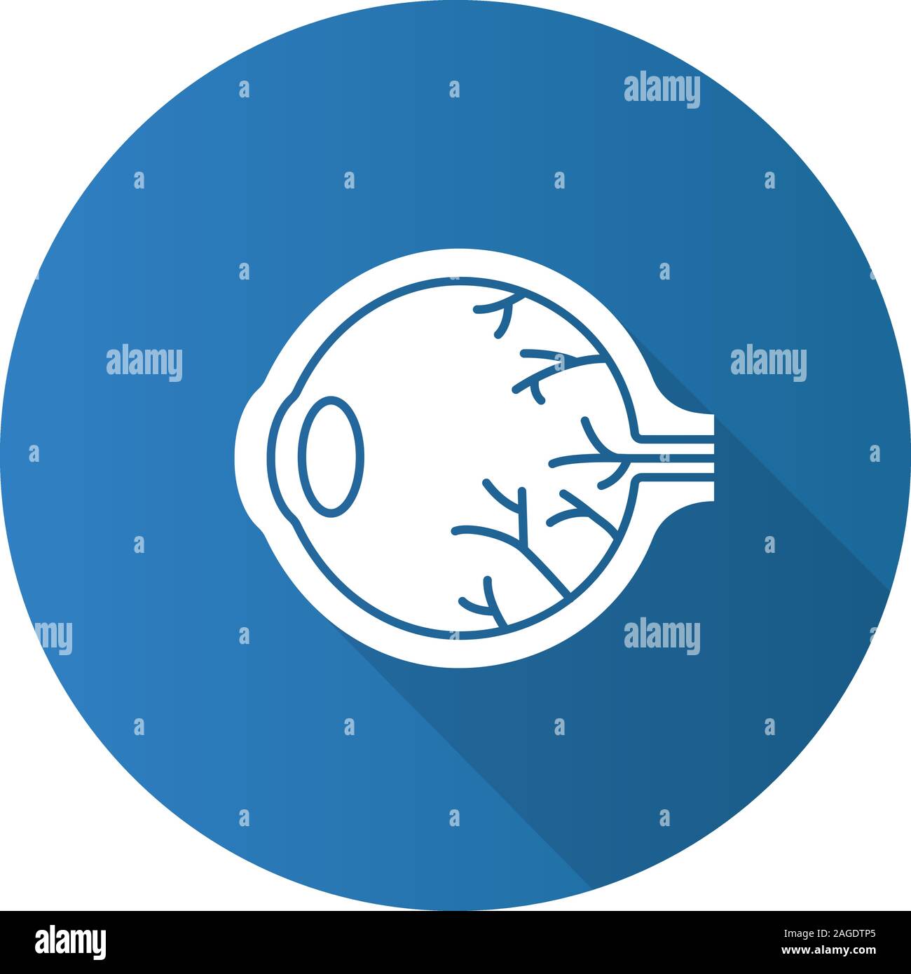 Eye anatomy flat design long shadow glyph icon. Sore eye. Vector ...