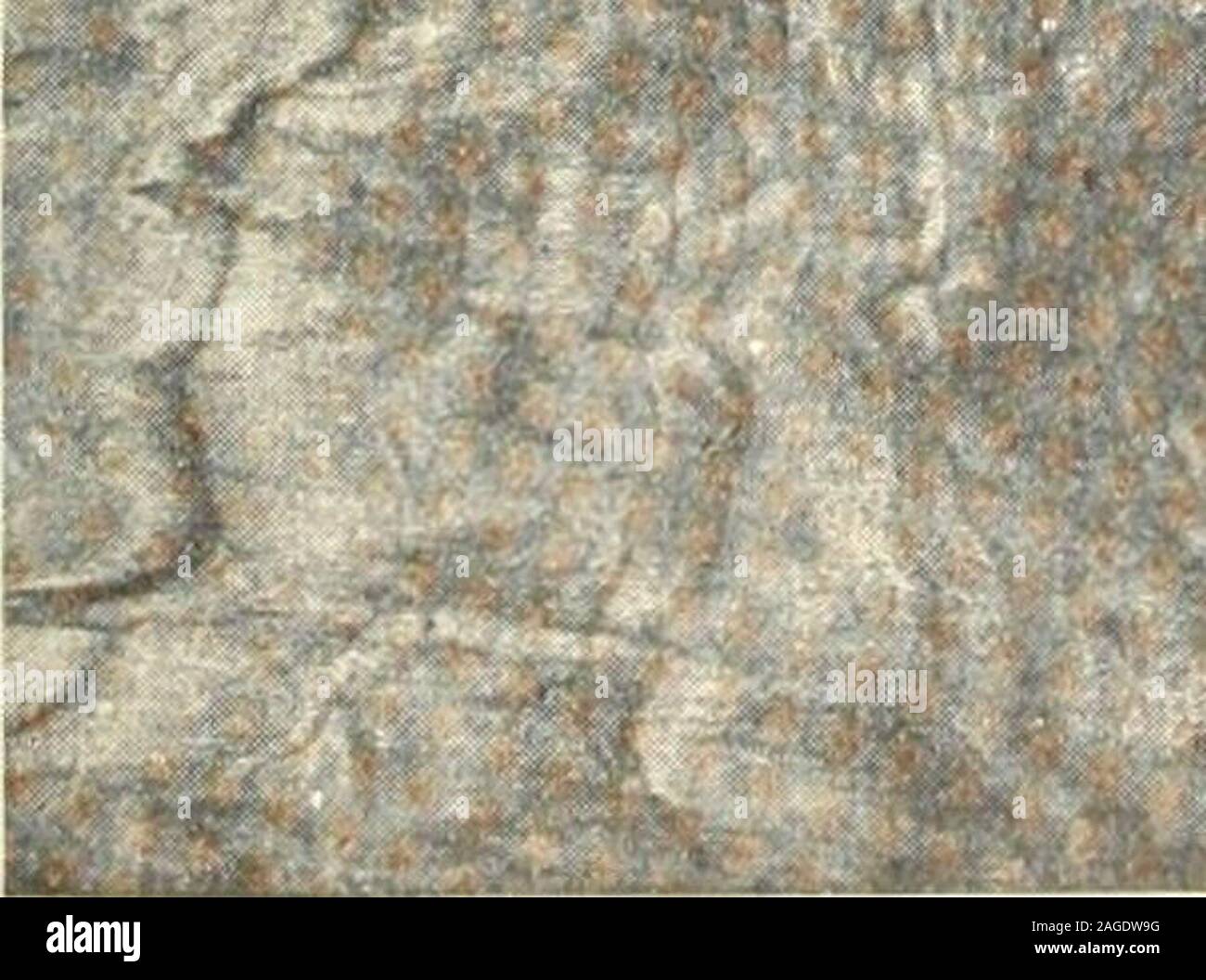 Veneers geo hi-res stock photography and images - Alamy