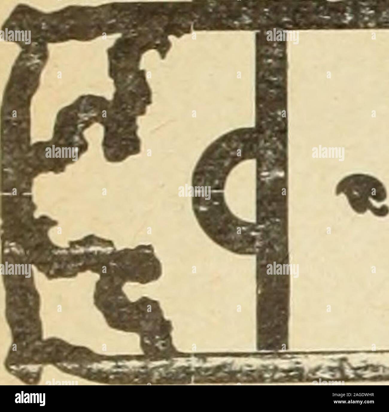 Fera york hi-res stock photography and images - Alamy