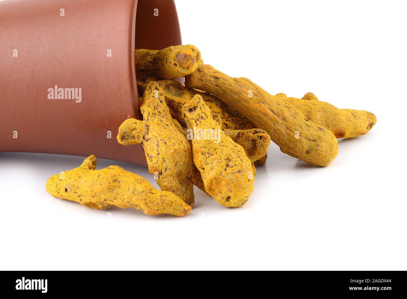 Dry Turmeric roots or barks in clay pot isolated on white background ...
