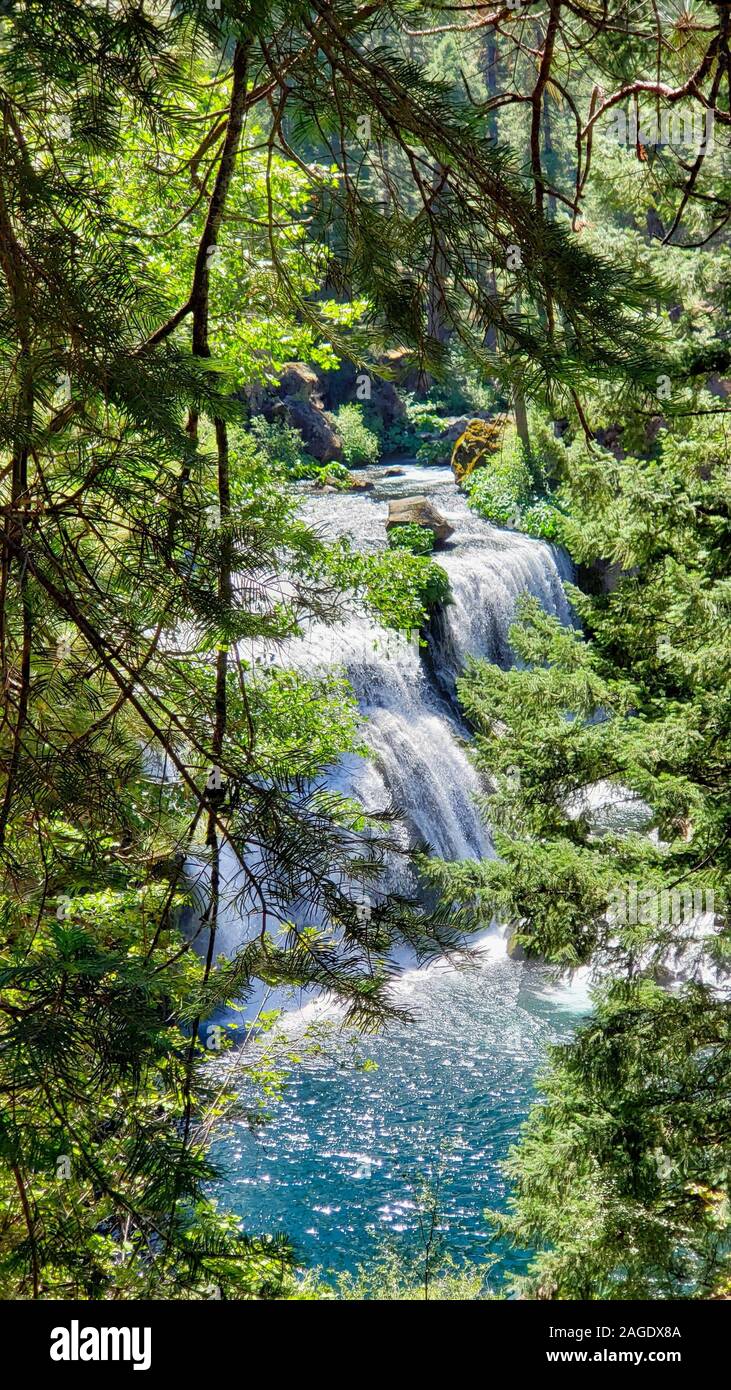 Waterfall under big tree hi-res stock photography and images - Alamy