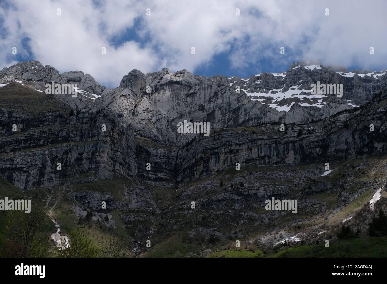 Swiss alps covered in the snow surrounded by greenery under a blue ...