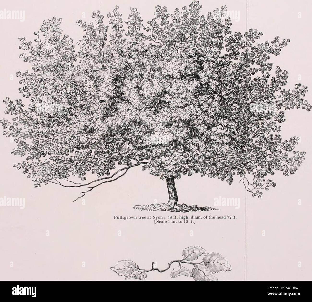 227 m hi-res stock photography and images - Alamy