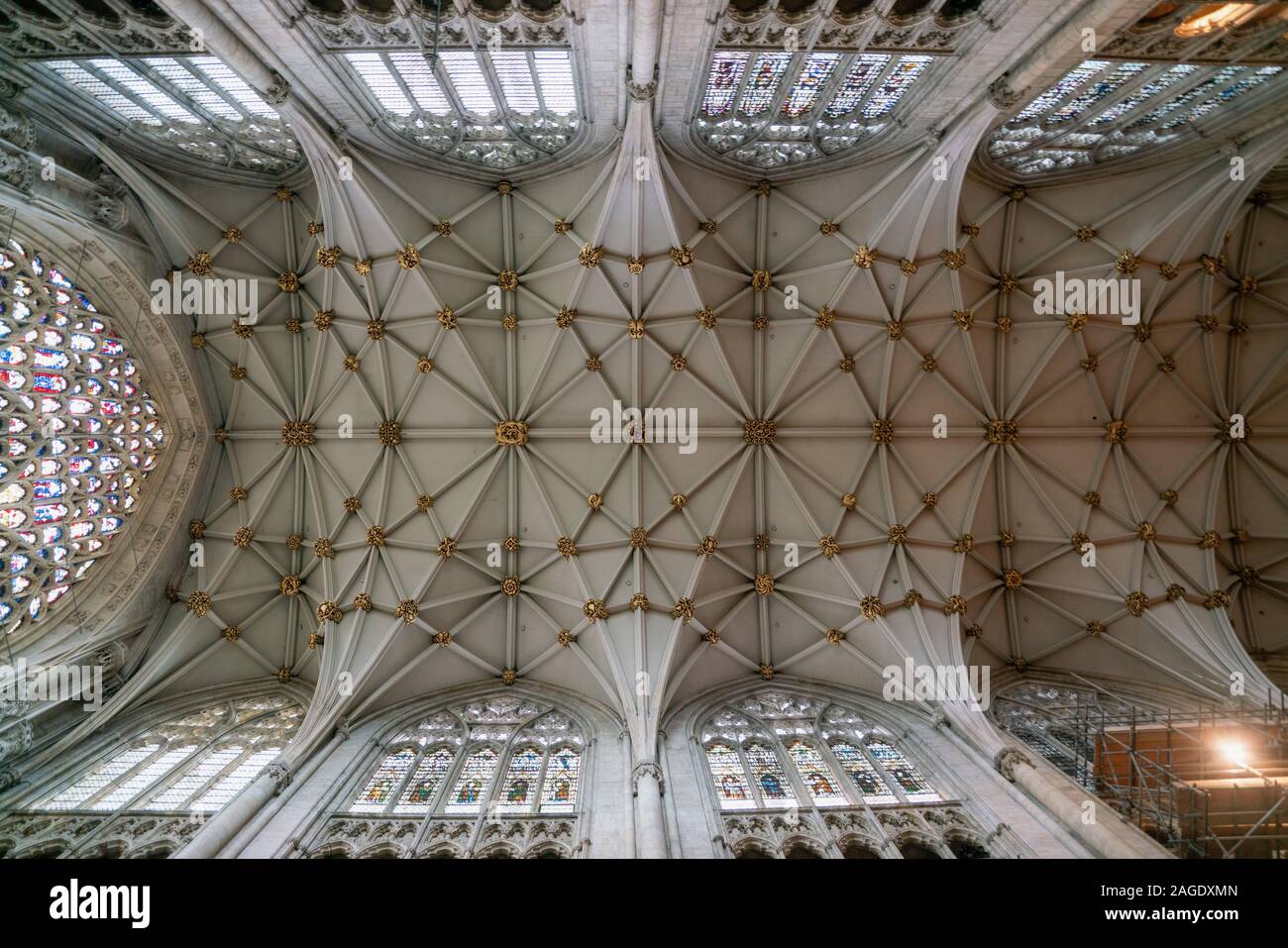 Gothic vaults hi-res stock photography and images - Alamy