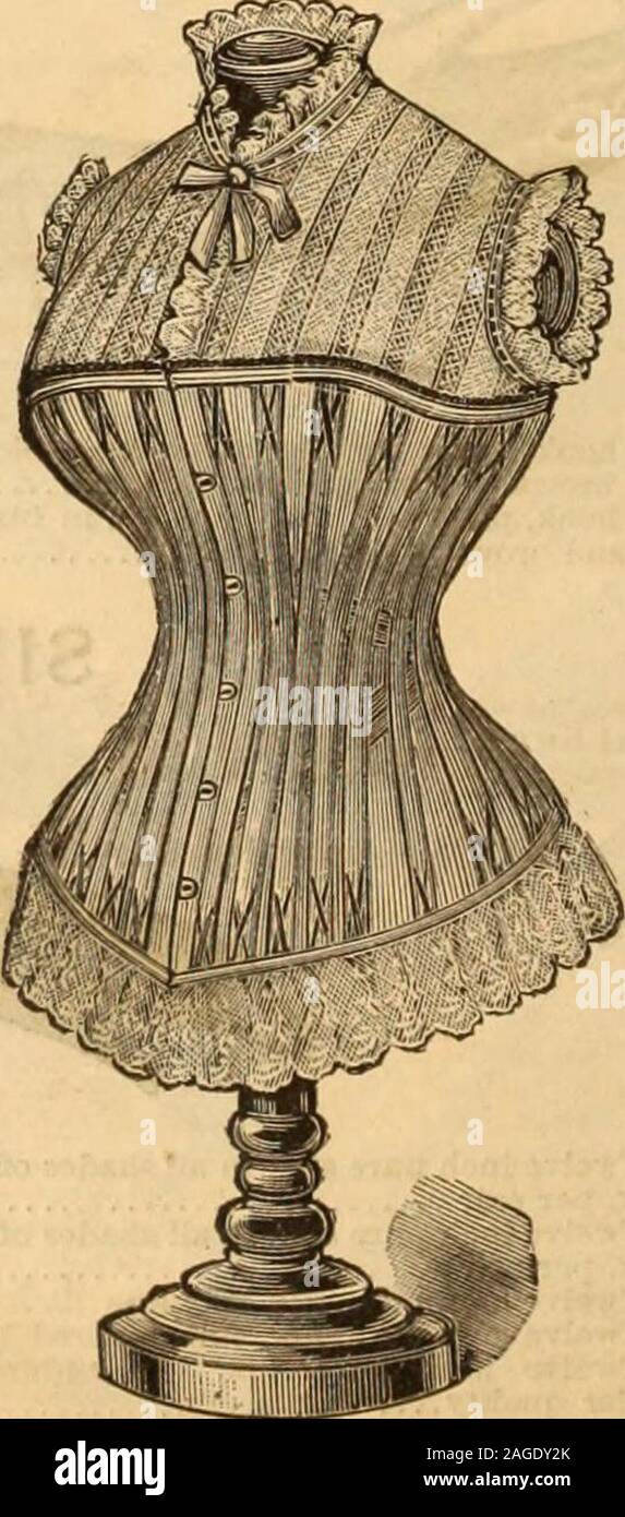 Tight lacing corset hi-res stock photography and images - Alamy