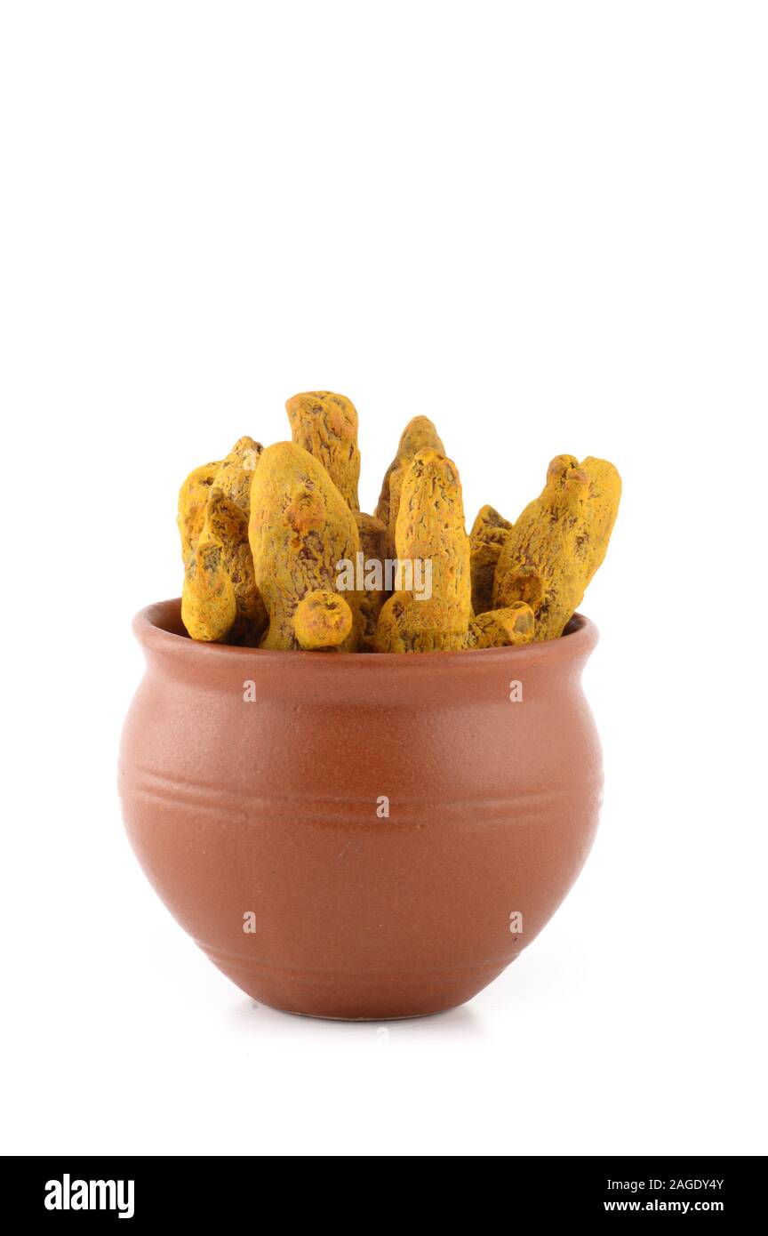 Dry Turmeric roots or barks in clay pot isolated on white background ...