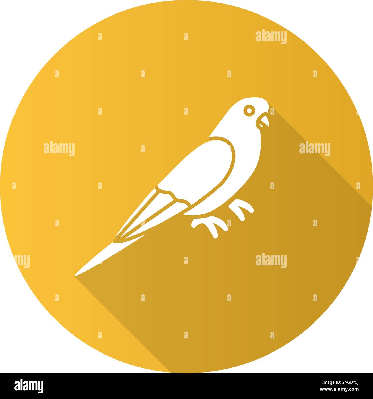 Budgerigar flat design long shadow glyph icon. Common parakeet. Parrot ...