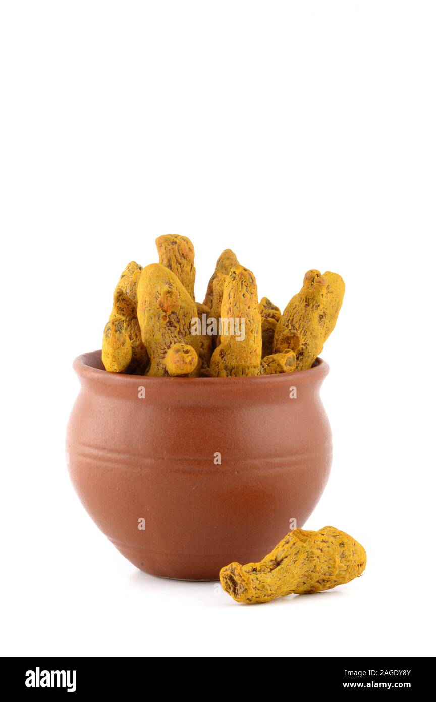 Dry Turmeric roots or barks in clay pot isolated on white background ...