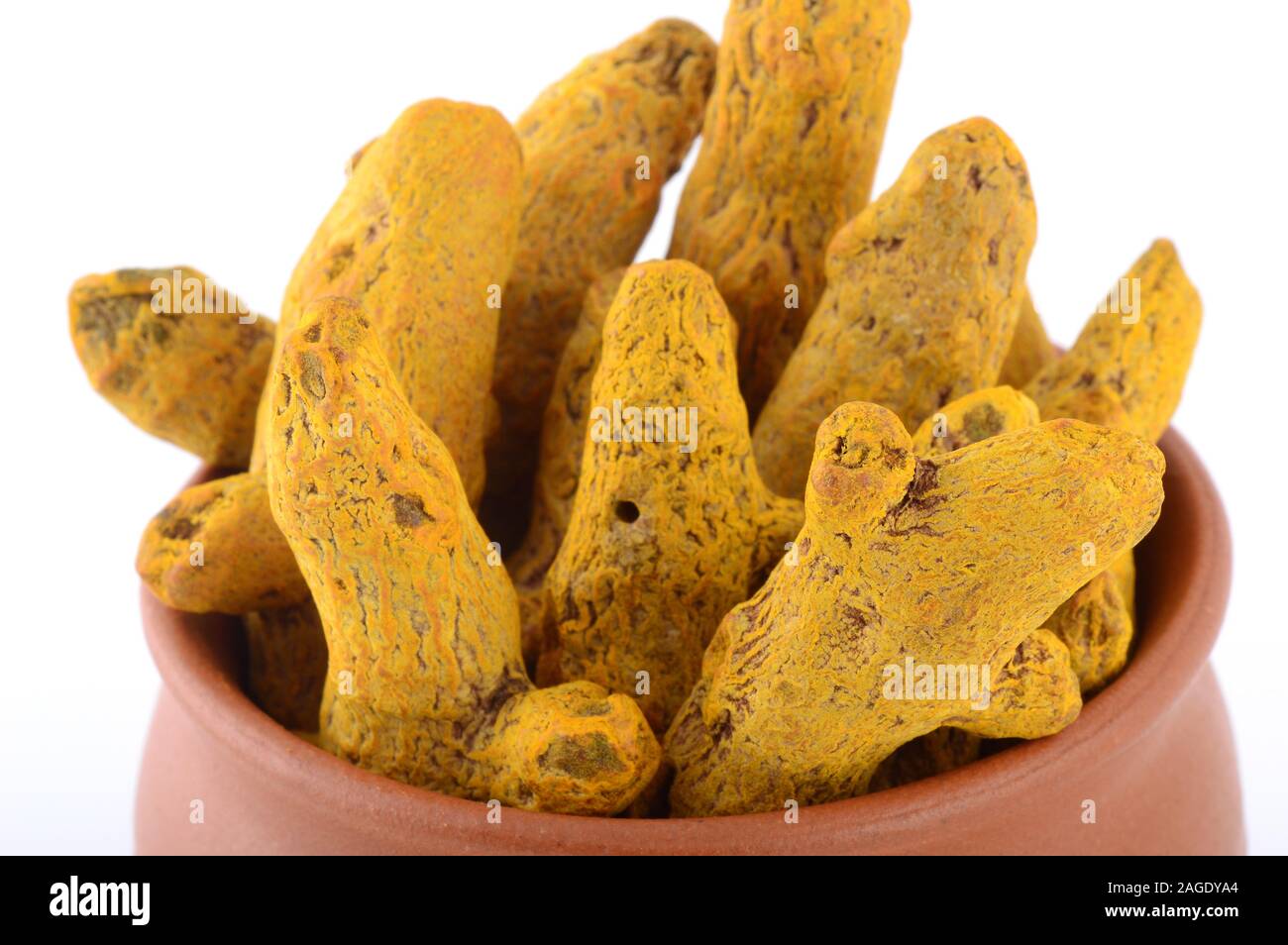 Dry Turmeric roots or barks in clay pot isolated on white background ...