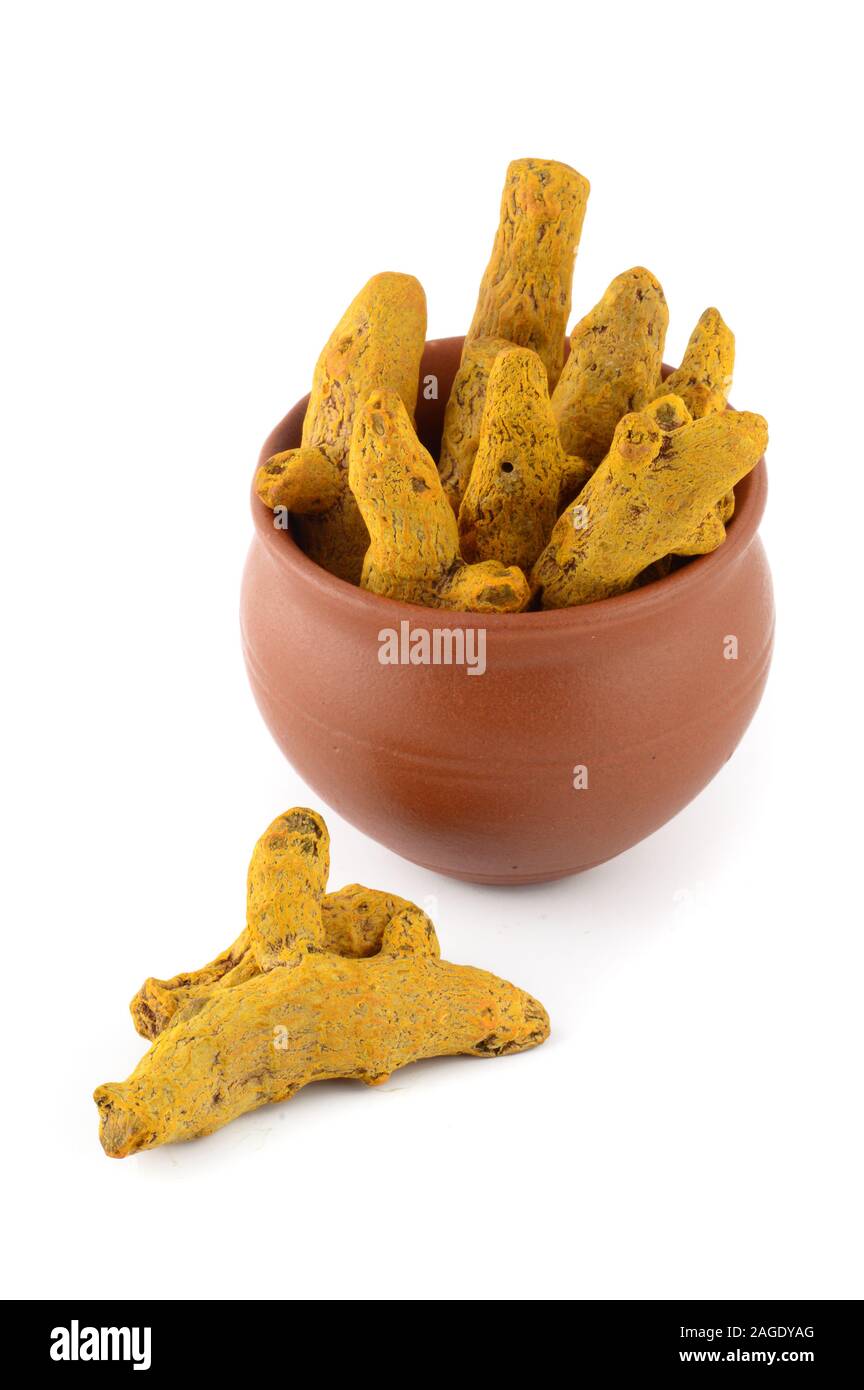 Dry Turmeric roots or barks in clay pot isolated on white background ...