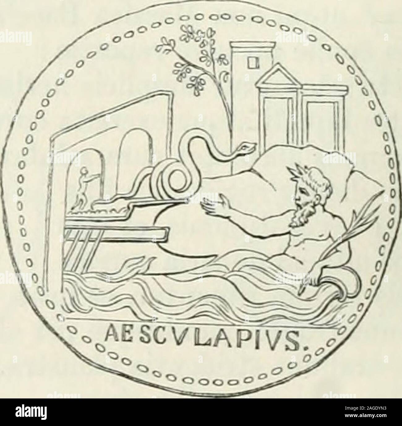 Pabula hi-res stock photography and images - Alamy