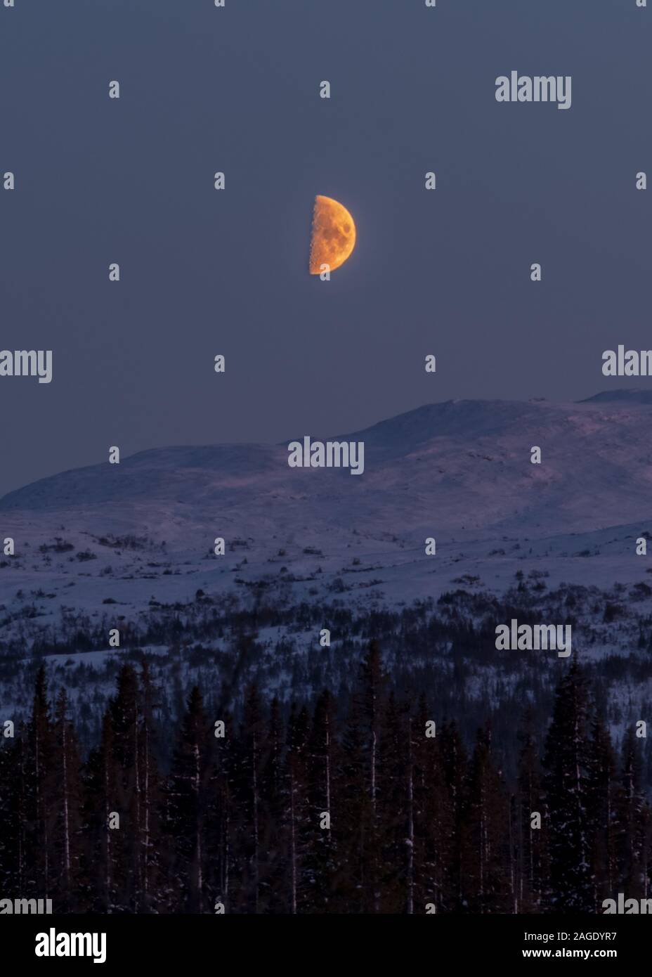 Vertical picture of a lunar eclipse above mountains and forests covered ...