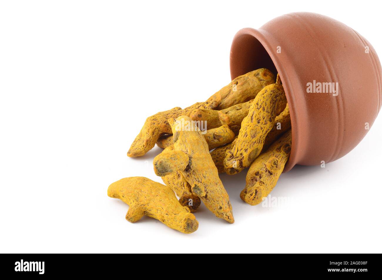 Dry Turmeric roots or barks in clay pot isolated on white background ...