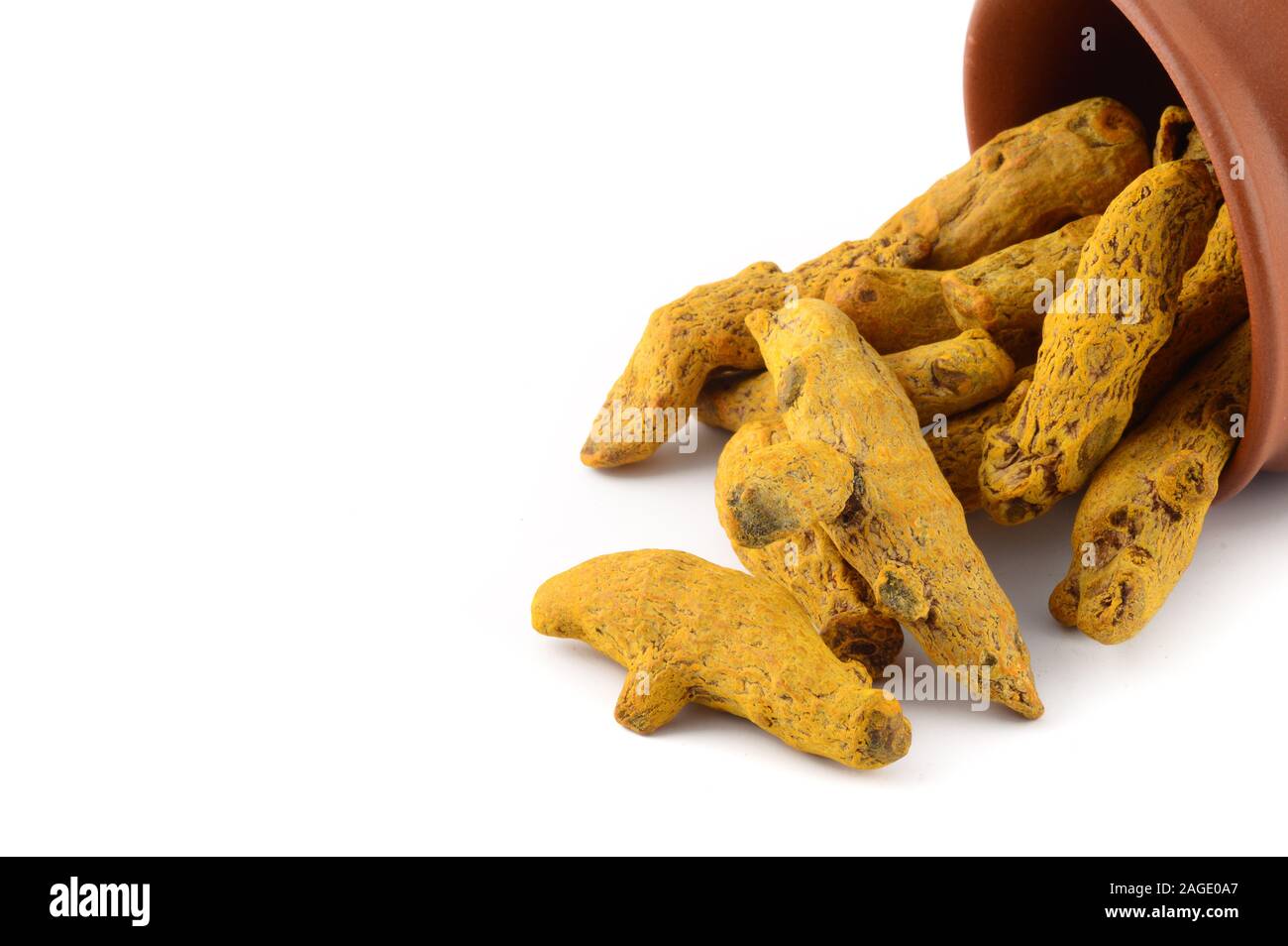Dry Turmeric roots or barks in clay pot isolated on white background ...
