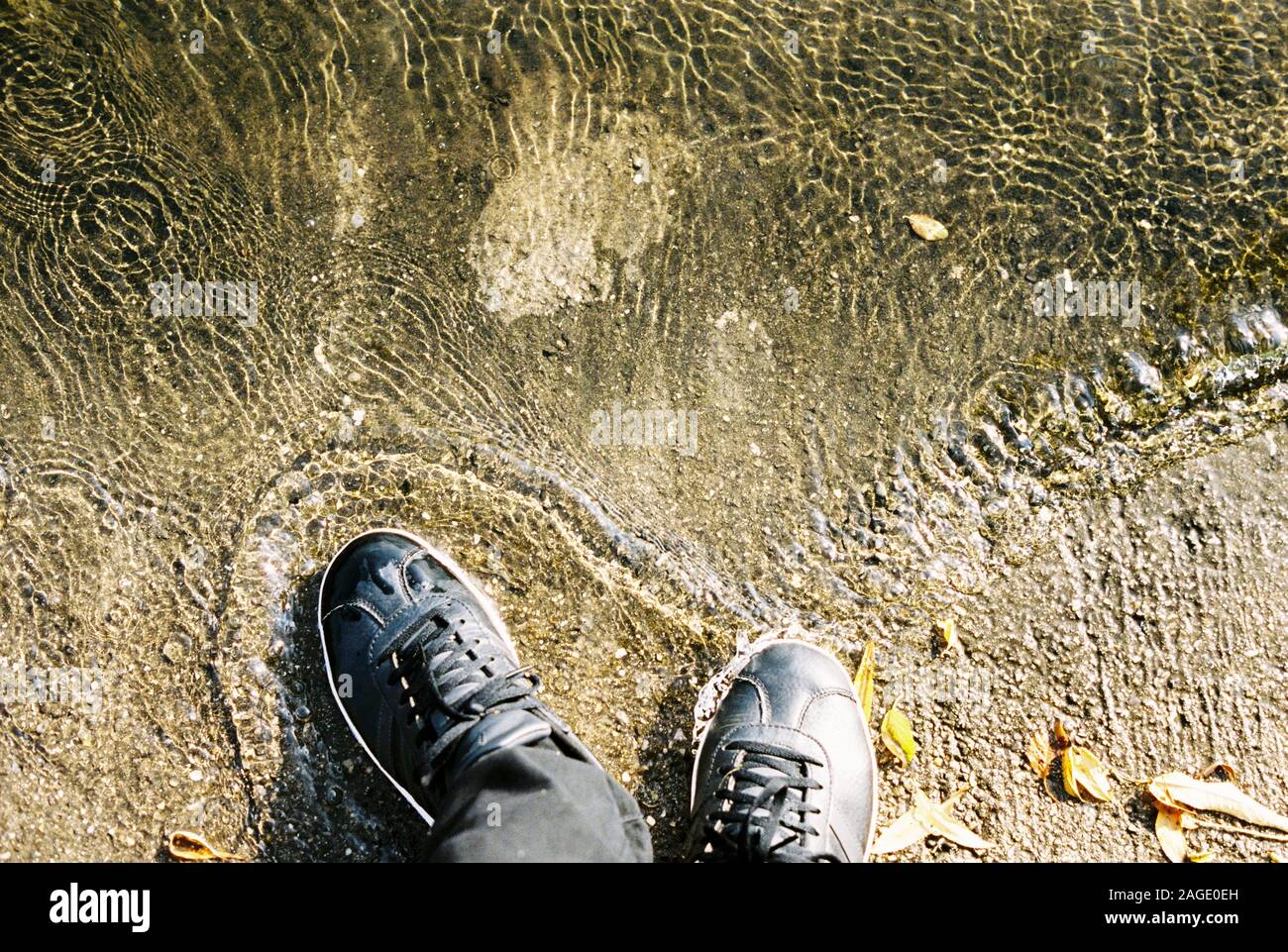 Animal works hi-res stock photography and images - Alamy