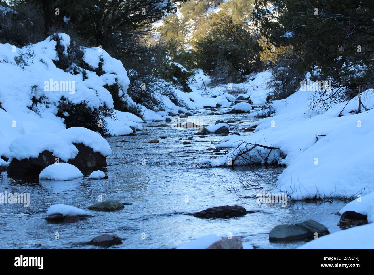 Frozen river flowing in the forest with the ground covered with snow ...