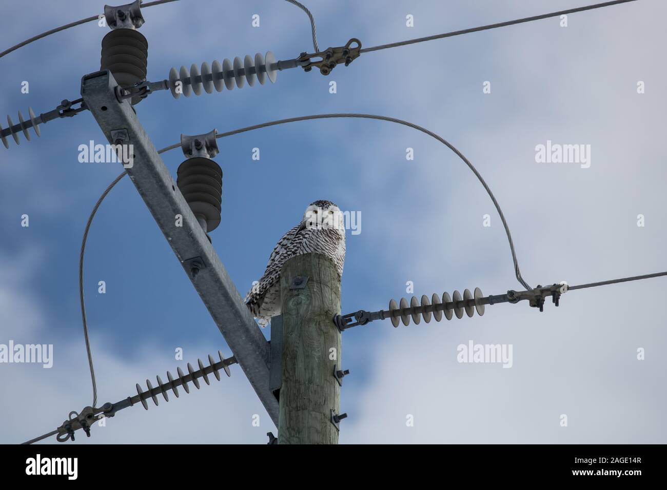 Cartoon illustration power light switch hi-res stock photography and ...