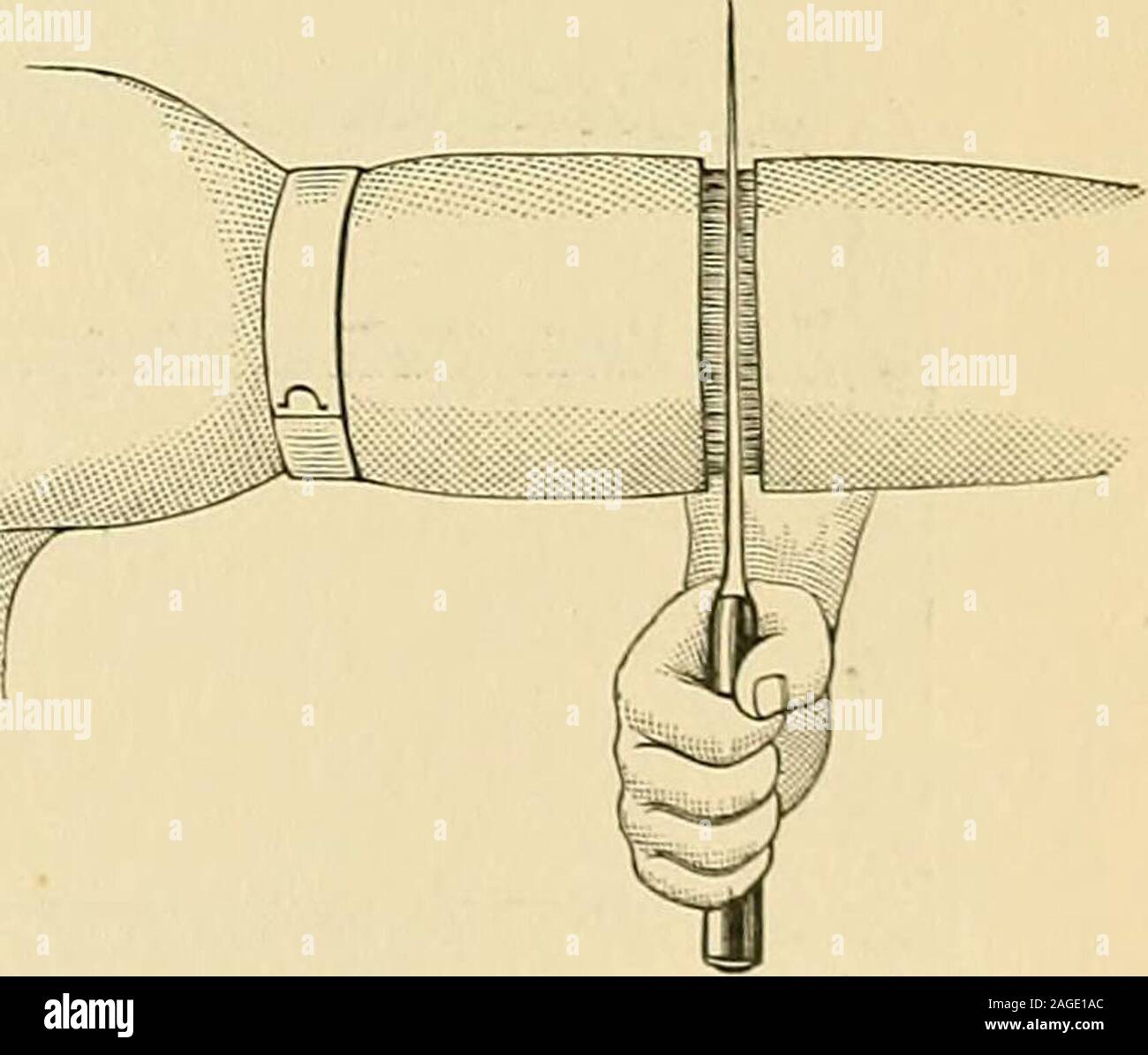 Broad bladed knife hi-res stock photography and images - Alamy