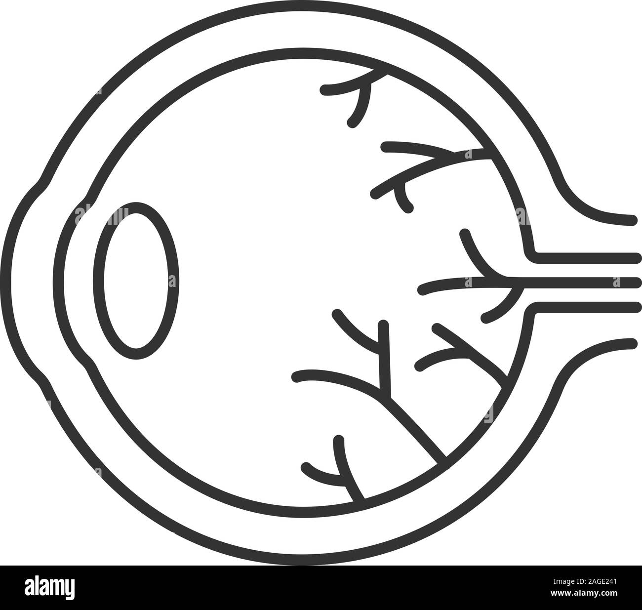 Eye anatomy linear icon. Thin line illustration. Sore eye. Contour ...