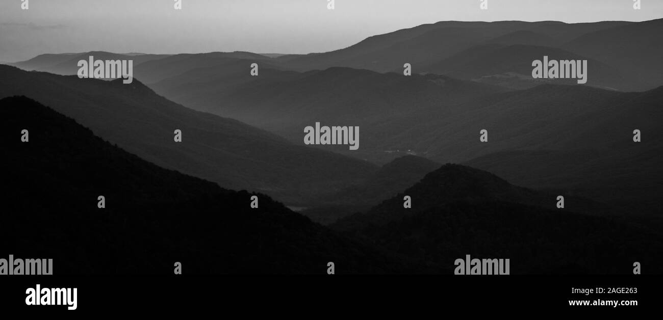 Grey scale shot of the beautiful hills and valleys covered in trees ...