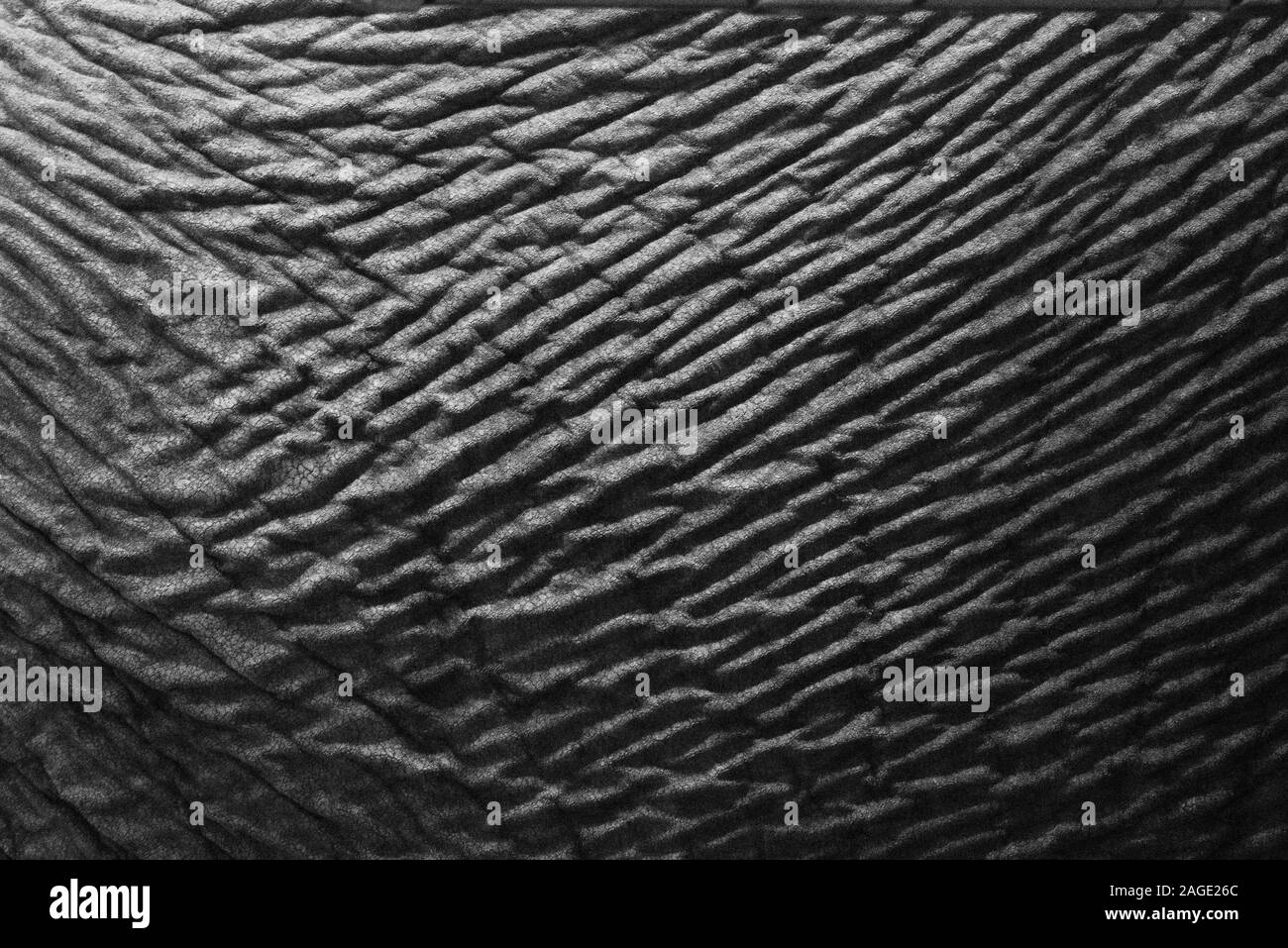 Skin side Black and White Stock Photos & Images - Alamy