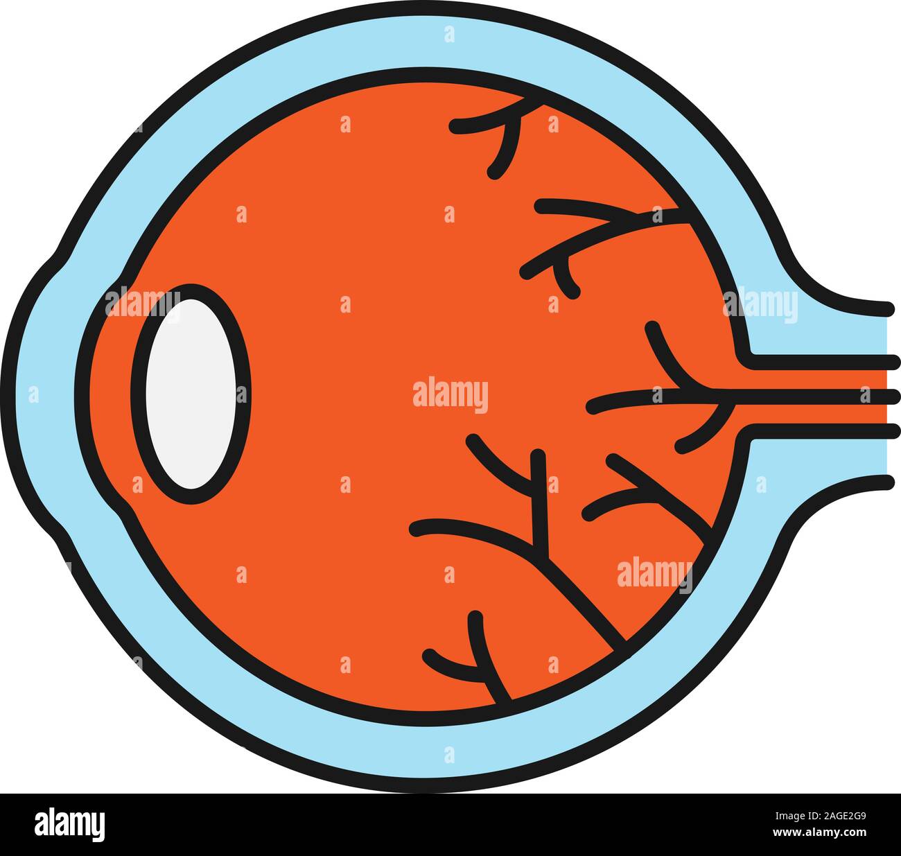 Eye anatomy color icon. Sore eye. Isolated vector illustration Stock ...