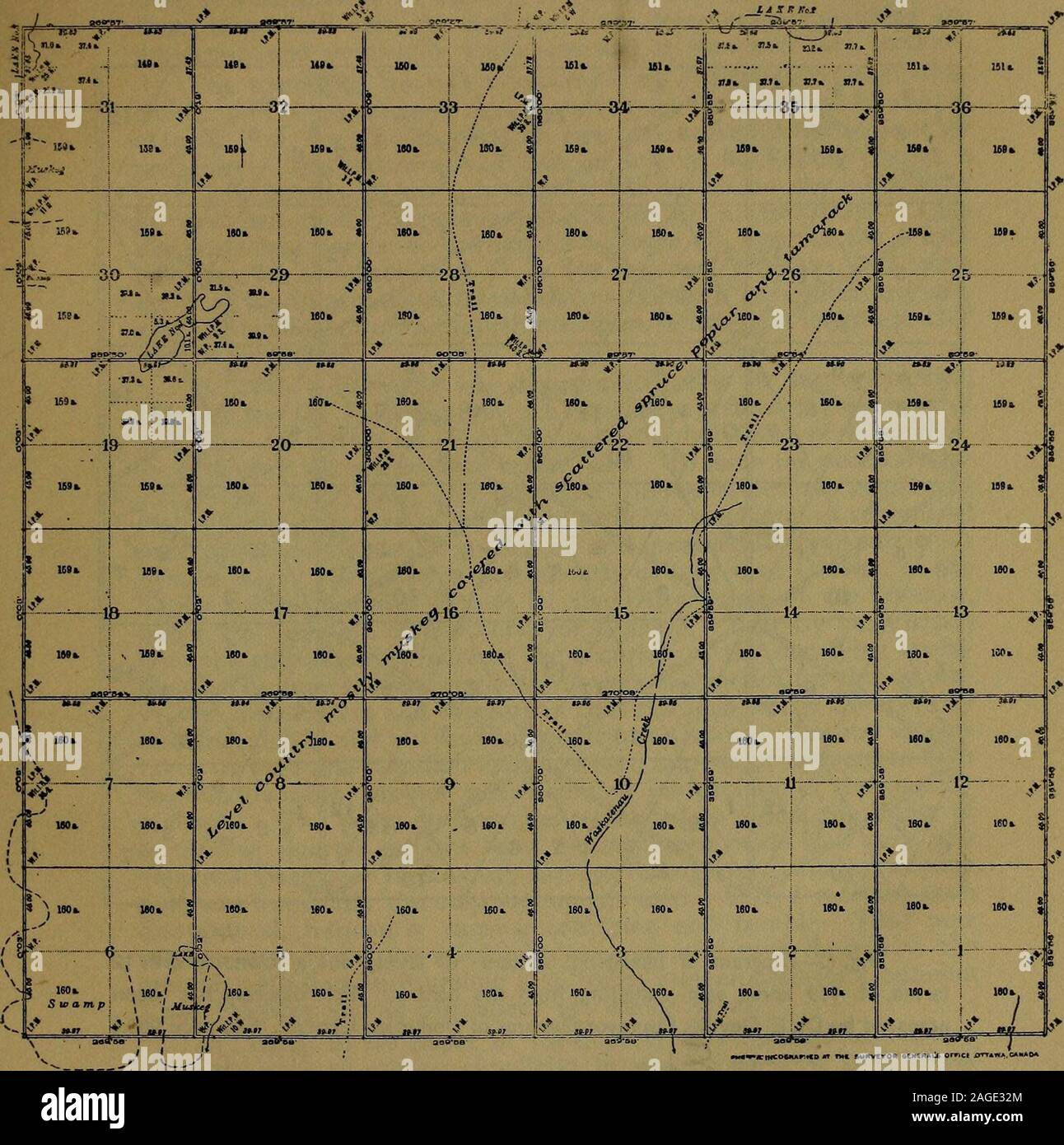 Rectangular Settlement