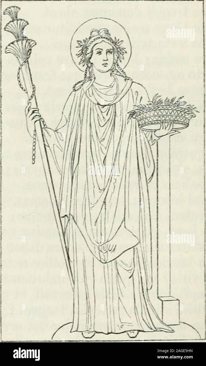 Radicibus hi-res stock photography and images - Alamy