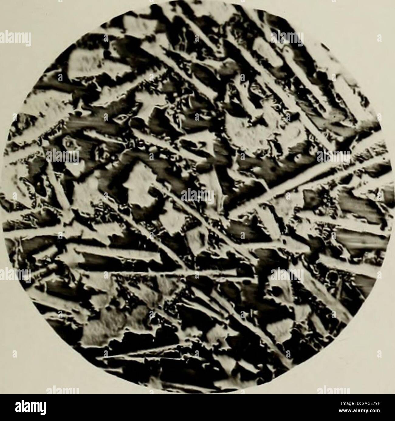 . Alloys of tungsten by diffusion. Fig. XIX.. Fig. XX. 35 excess of ...