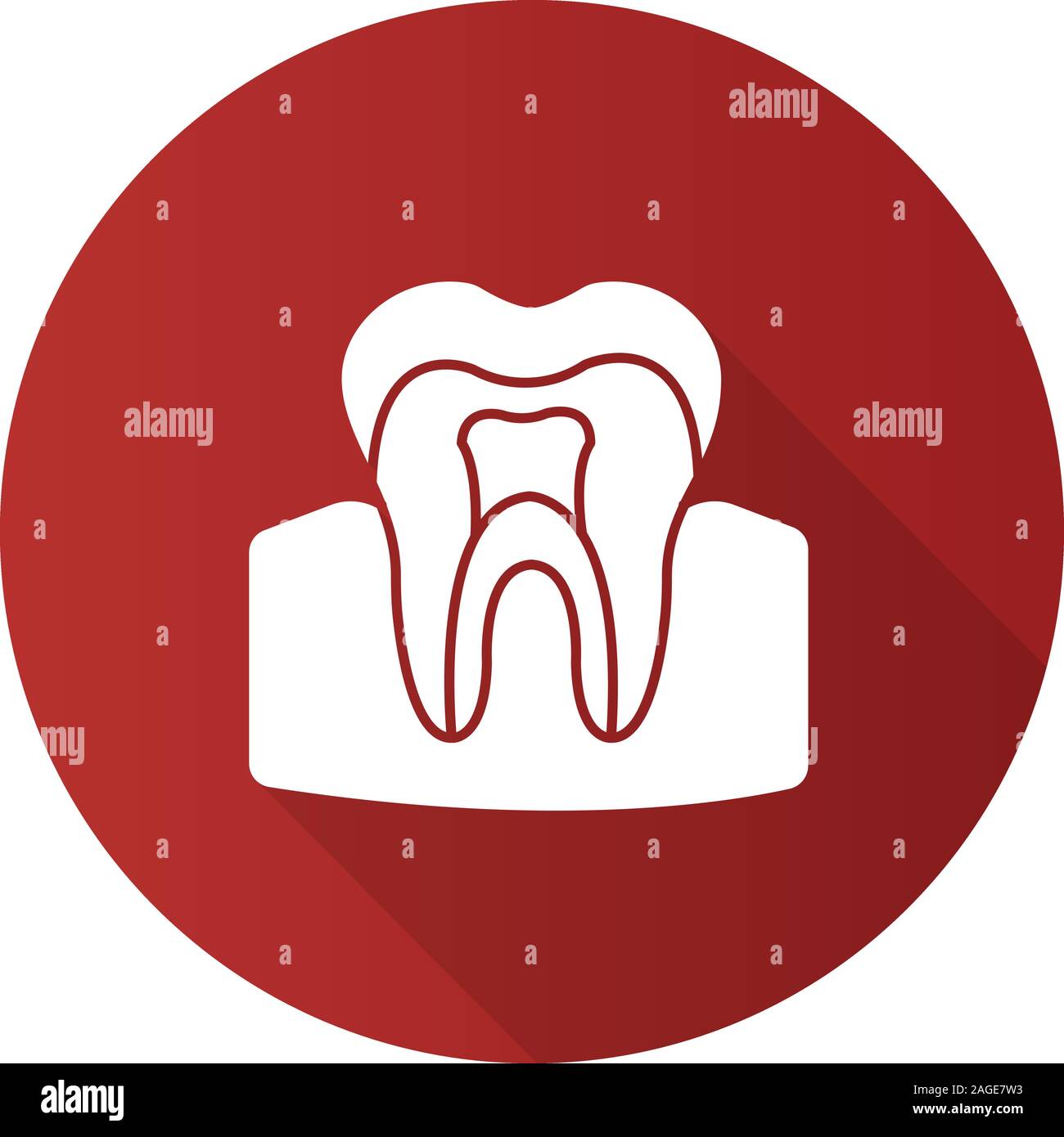 Tooth anatomical structure flat design long shadow glyph icon. Tooth ...